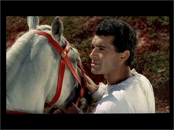 De-as fi Harap - Alb